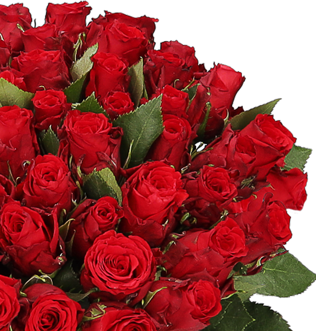 Xxl Rosenstrauß Mit 50 Roten Rosen Bestellen Blumeideal De